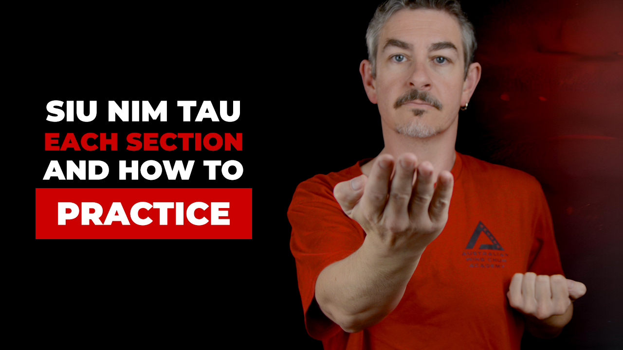 Siu Nim Tau (Sil Lim Tao) – Step by Step Wing Chun Form Practice ...